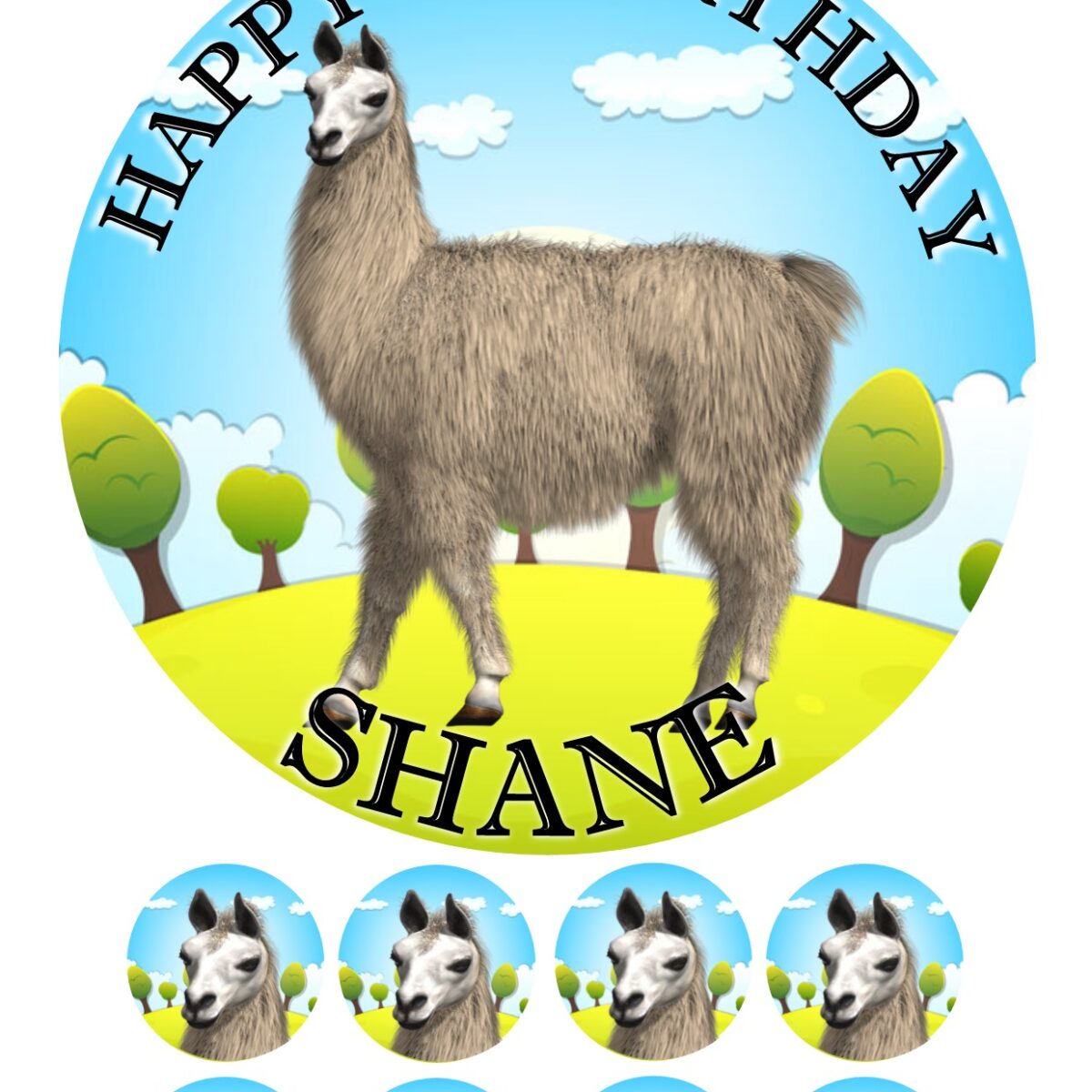 llama Icing Birthday Cake Topper & 8 Cupcake Toppers