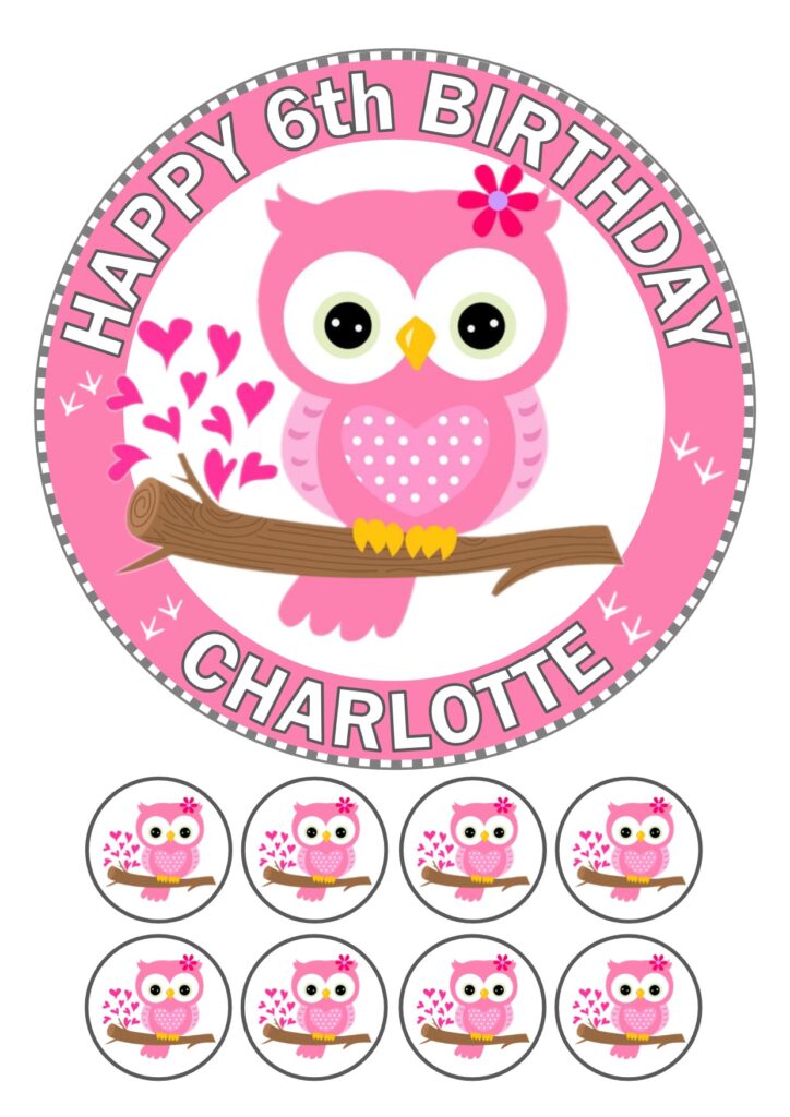 Owl Pink Icing Birthday Cake Topper & 8 Cupcake Toppers