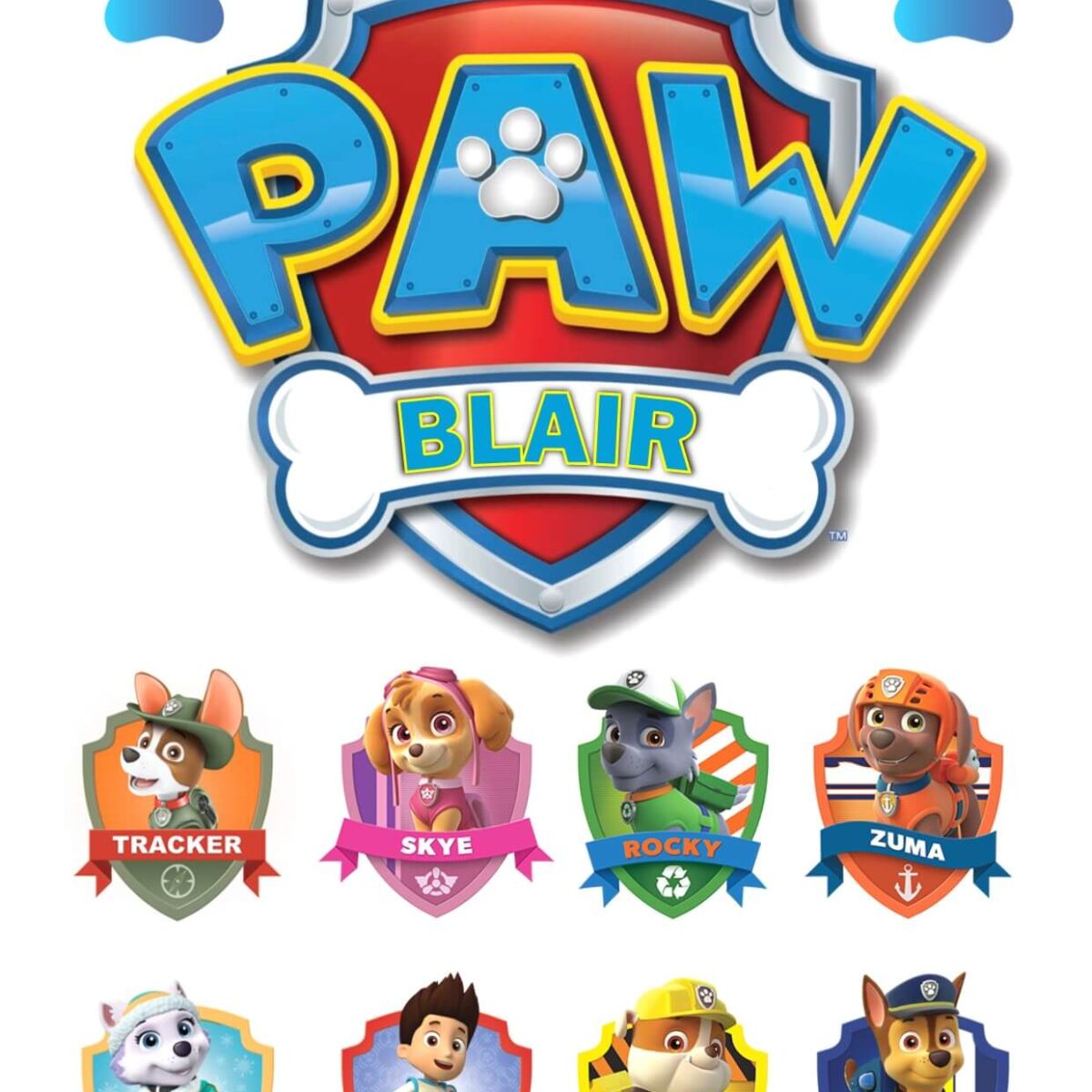 Paw Patrol Pink Logo On Icing Sheet Cake Topper